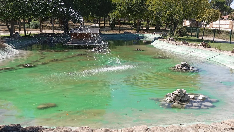 Cubas de la Sagra intensifica el mantenimiento de sus fuentes y ... Cubas de la Sagra intensifica el mantenimiento de sus fuentes y ...